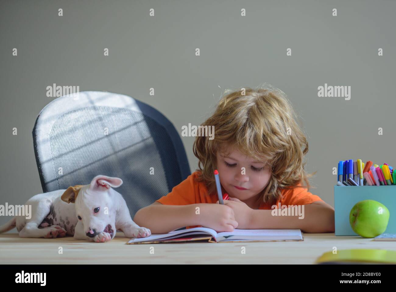 Children playing with class pet hi-res stock photography and images - Alamy