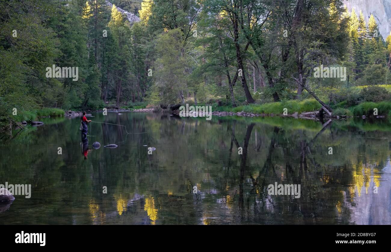 fly fisherman fishes the merced river at valley view in yosemite ...