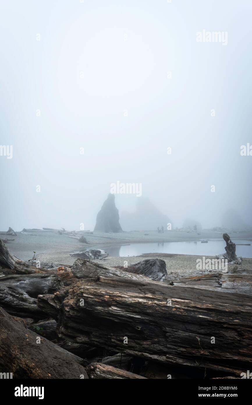 Ruby beach driftwood hi-res stock photography and images - Alamy