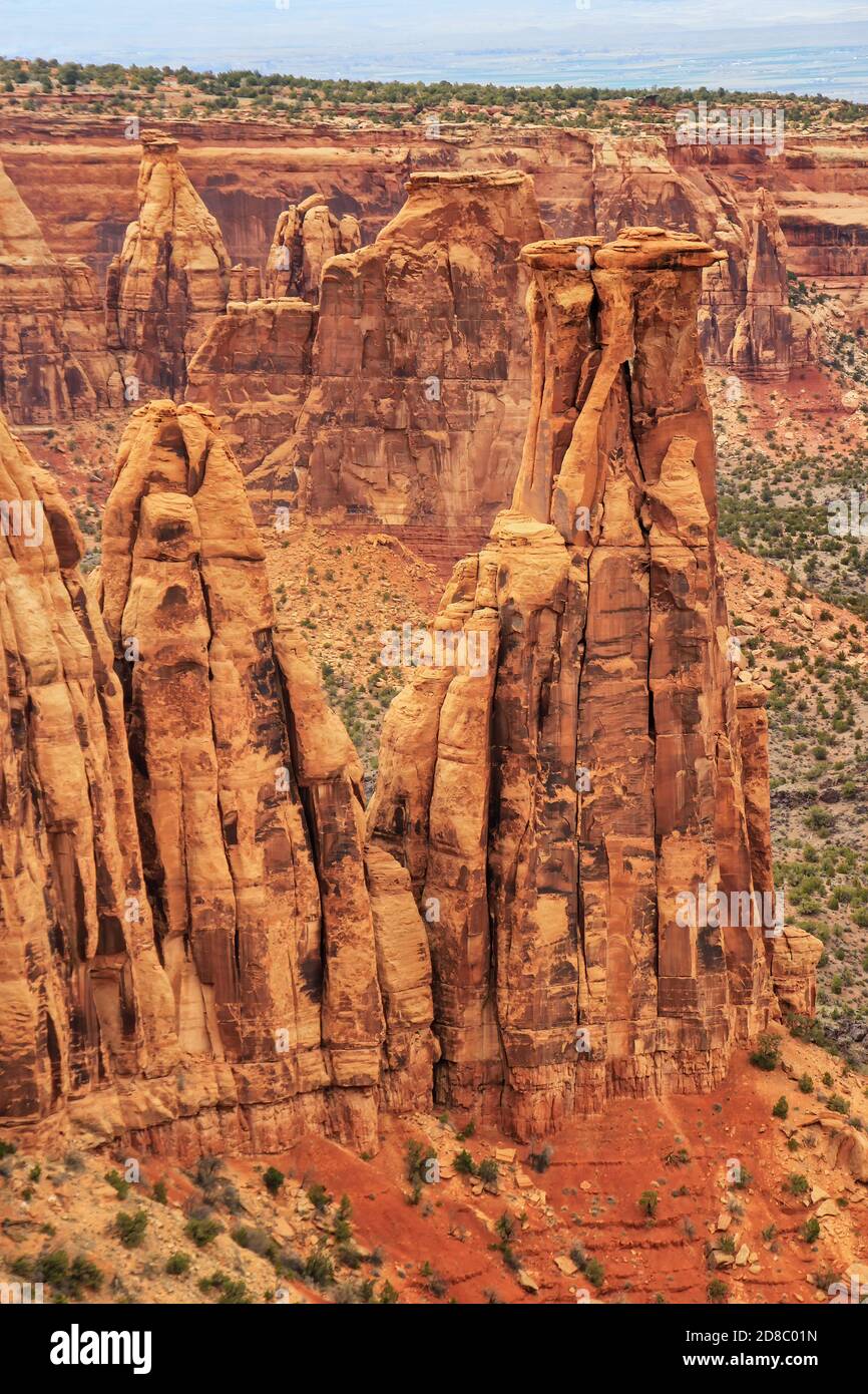 View of Pipe Organ formation in Colorado National Monument, Grand ...