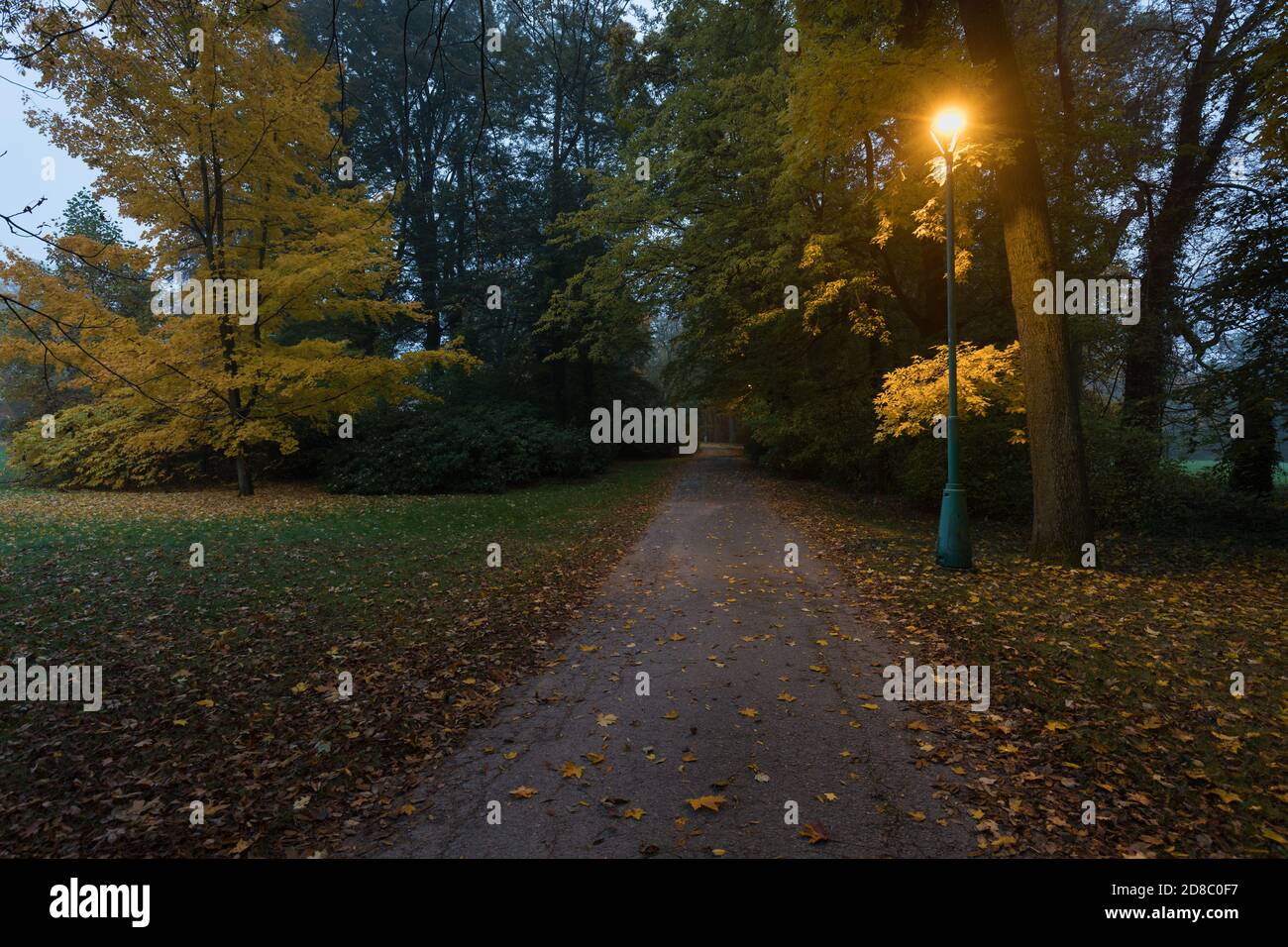 Night view : landscape of alleyway with street lamps at misty night ...