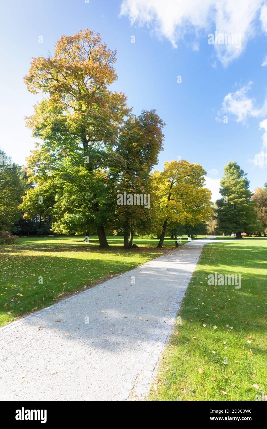 Beautiful autumn park. Autumn trees and leaves. Panorama of a stunning ...