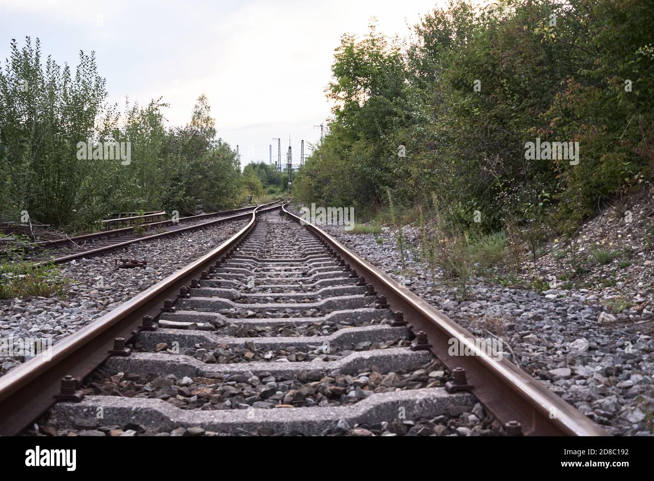 Endless railway surrounded by trees Stock Photo - Alamy