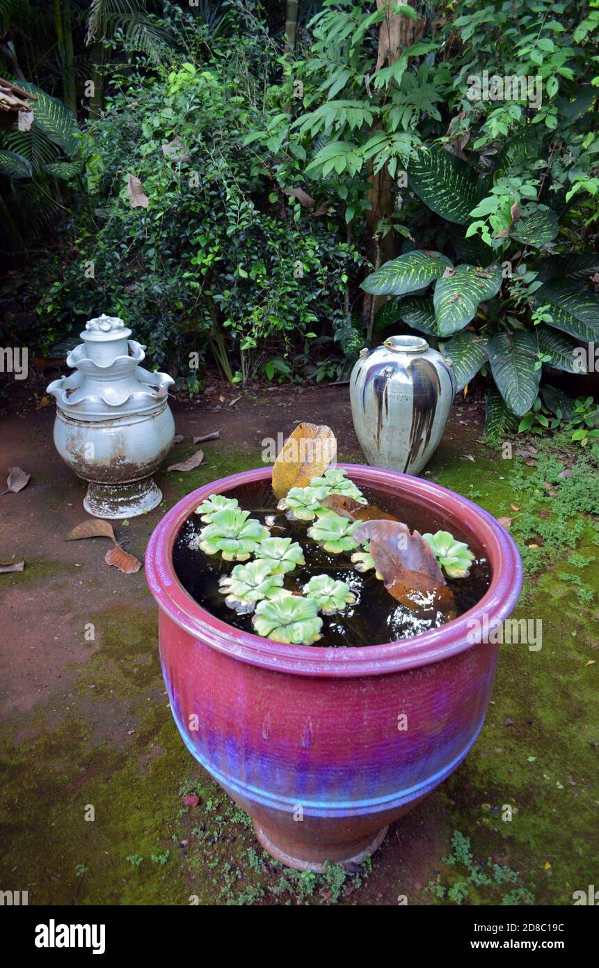 Chiang Rai, Thailand - Pottery Maker Display Stock Photo - Alamy
