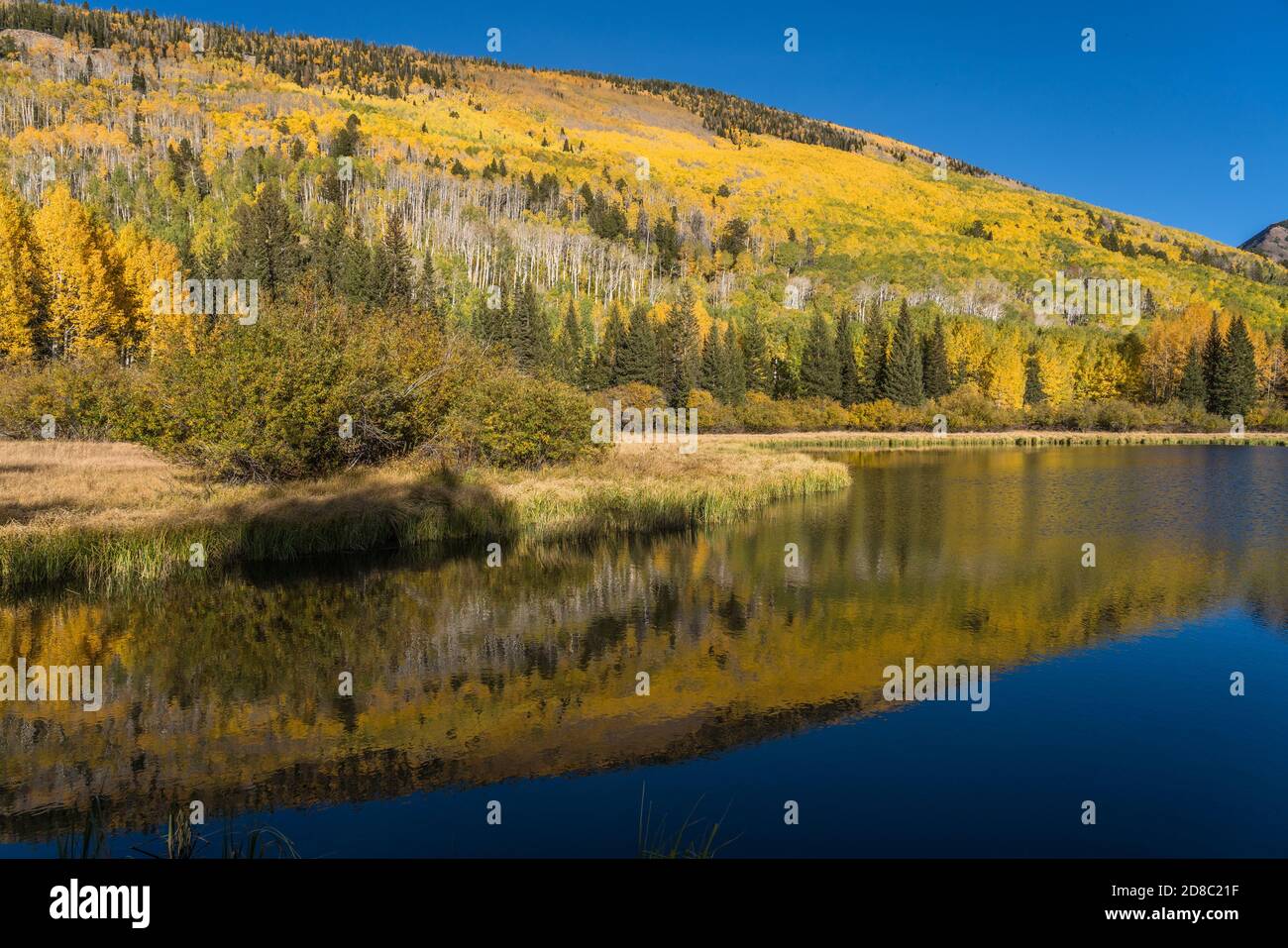 Warner lake hi-res stock photography and images - Alamy