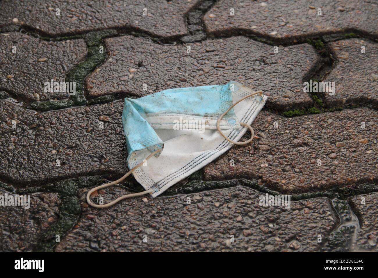 a discarded wet face mask on the street Stock Photo - Alamy