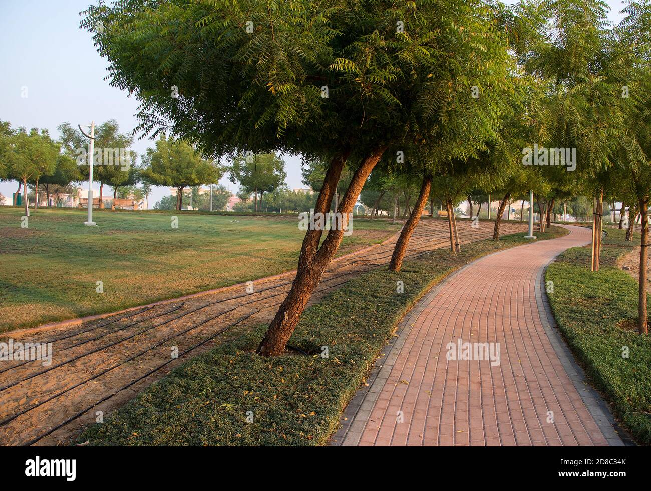Alley in Al Warqa park of Dubai, UAE. Outdoors Stock Photo - Alamy