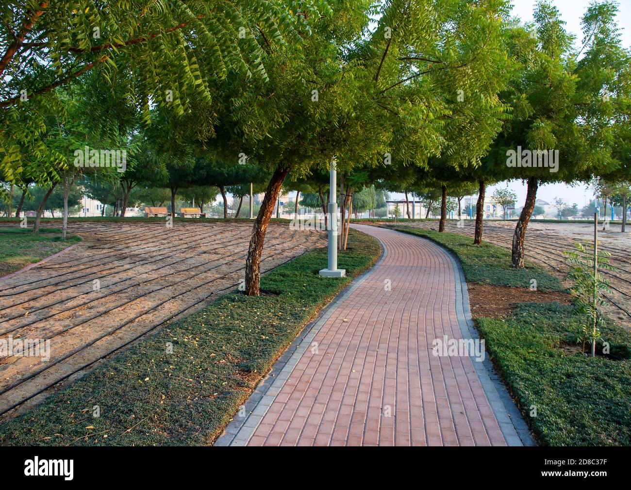 Alley in Al Warqa park of Dubai, UAE. Outdoors Stock Photo - Alamy