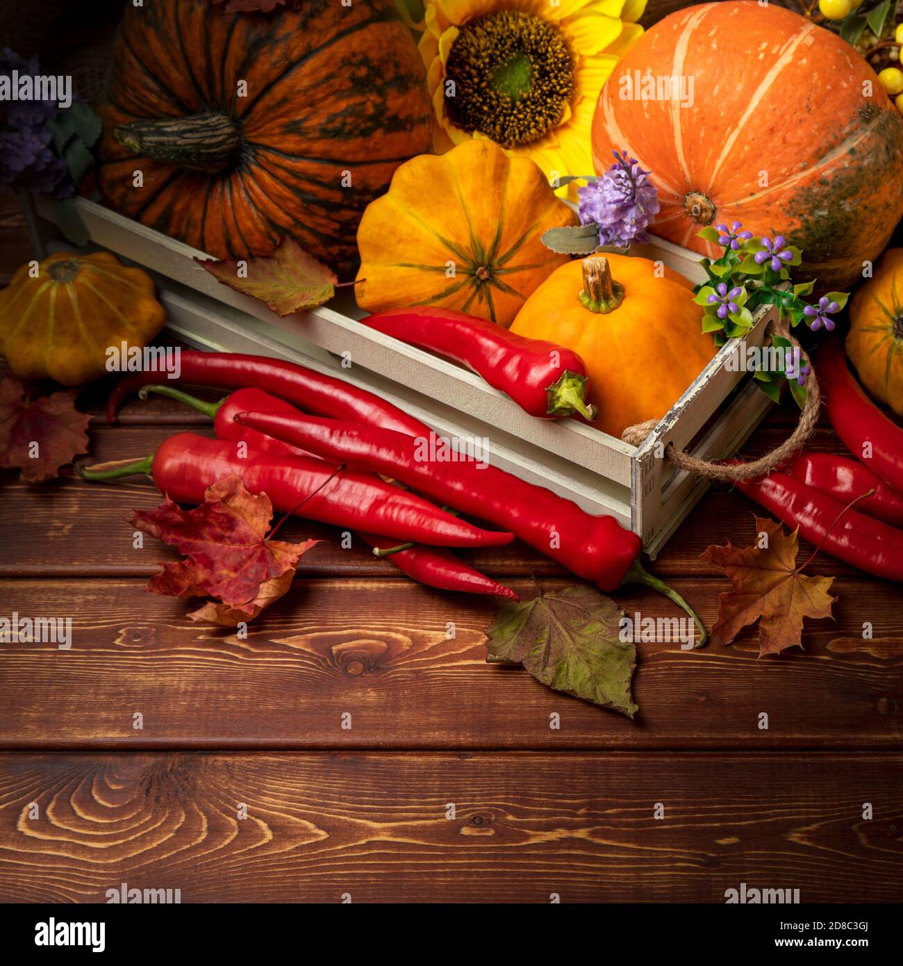 Rustic fall background with pumpkin, red hot chili peppers, autumn ...