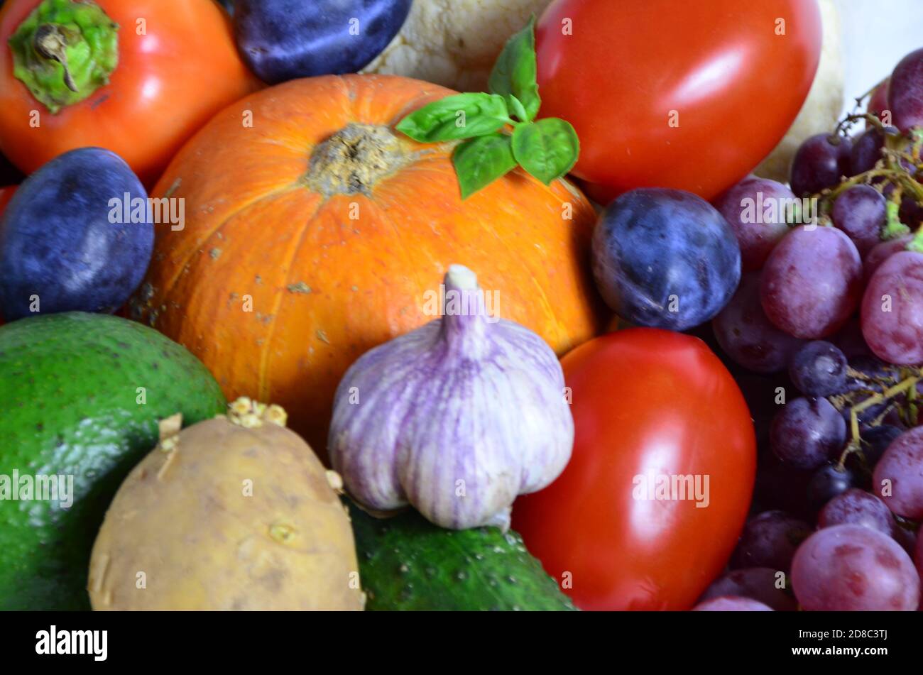 Close up of various colorful raw vegetables. autumn, harvesting ...