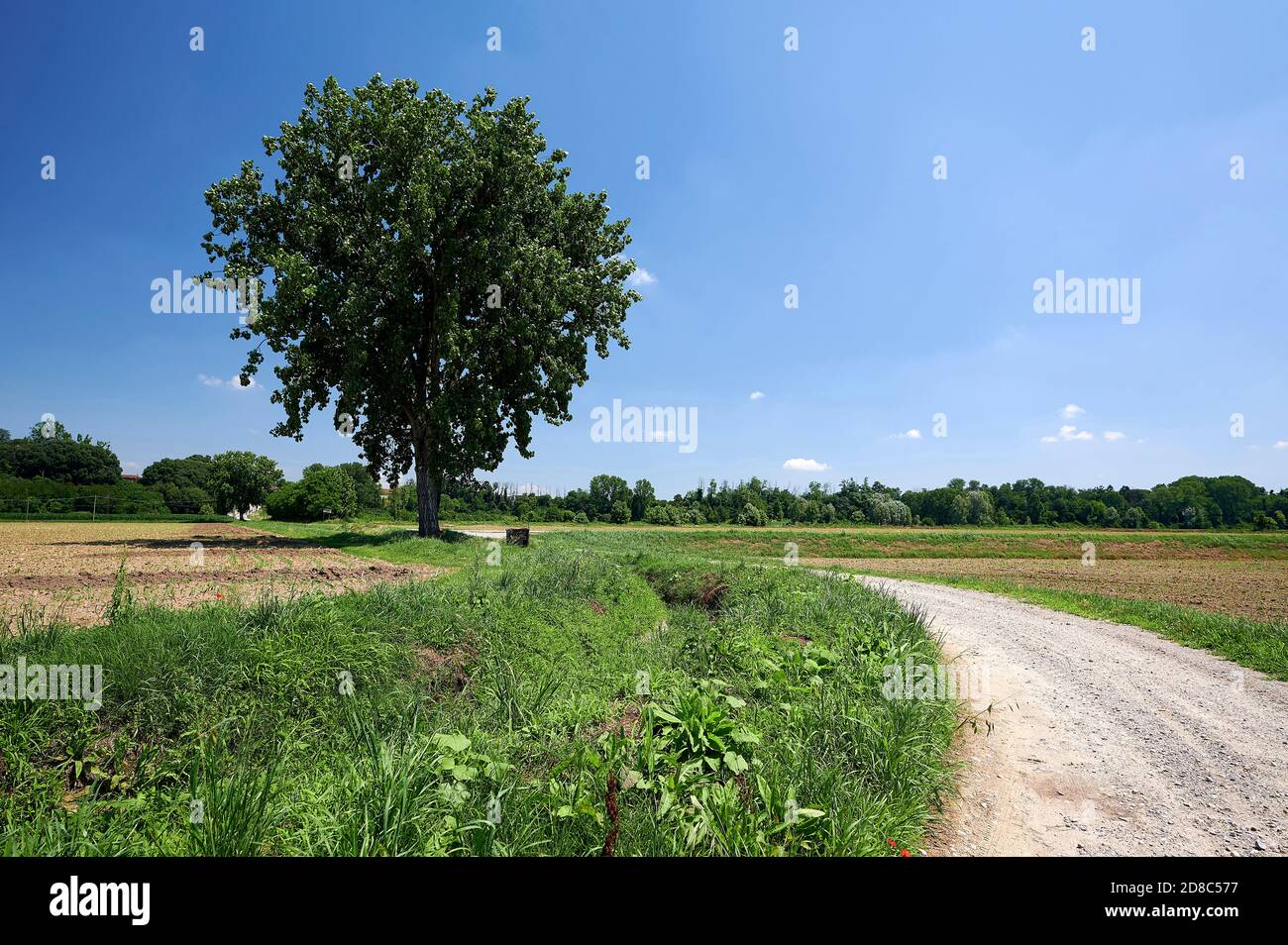 Villagana (Bs), Italy, a section of the becycle path of the Oglio river ...