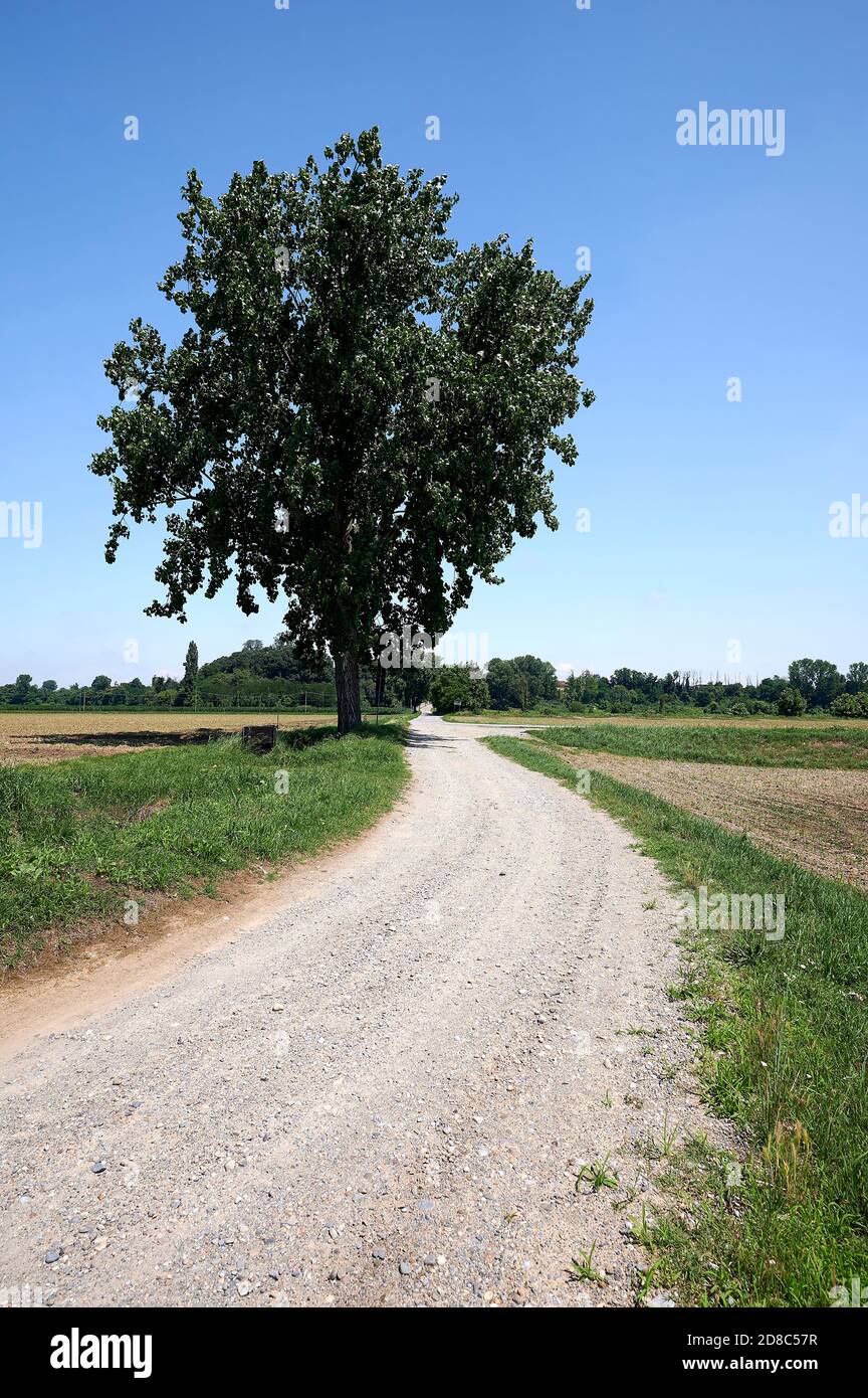 Villagana (Bs), Italy, a section of the becycle path of the Oglio river ...