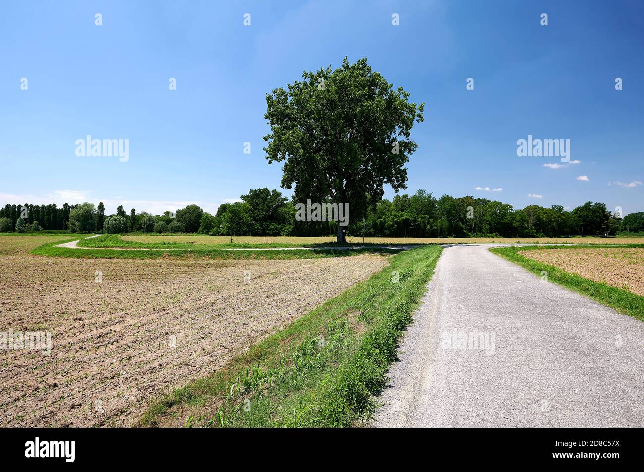 Villagana (Bs), Italy, a section of the becycle path of the Oglio river ...