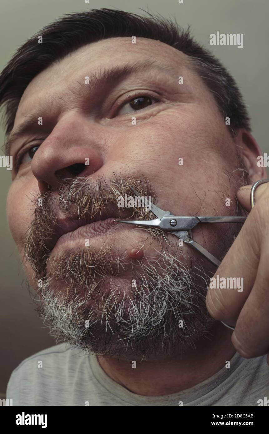 An adult man cuts his own beard with small manicure scissors. Unusual ...