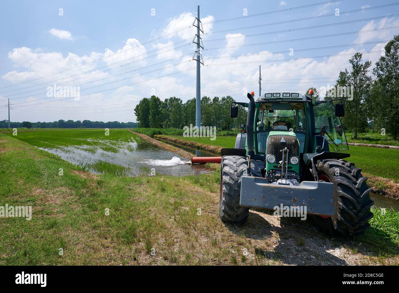 Water for flooding paddy field hi-res stock photography and images - Alamy