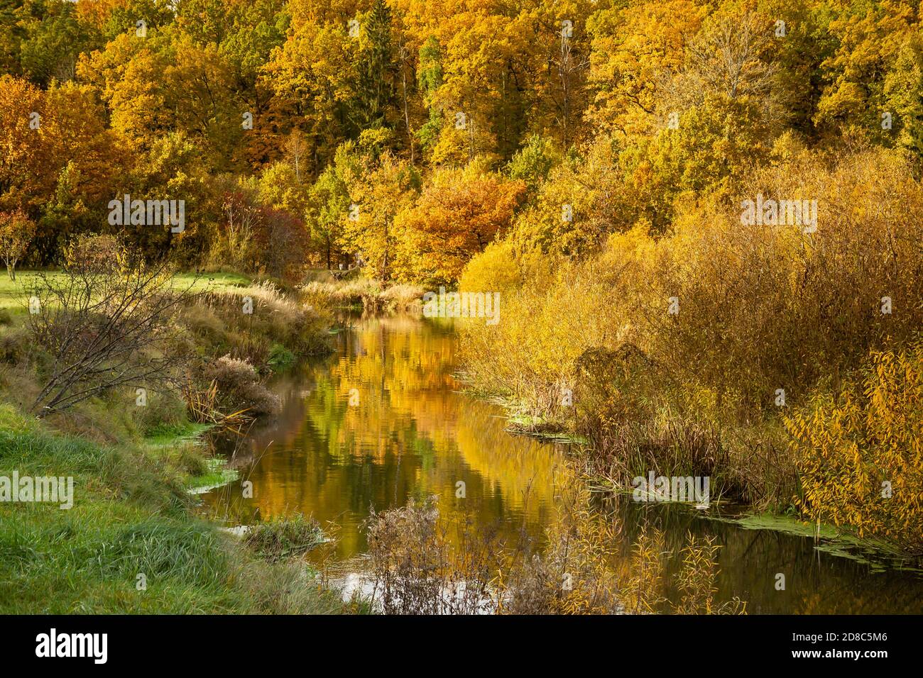 Abava river hi-res stock photography and images - Alamy