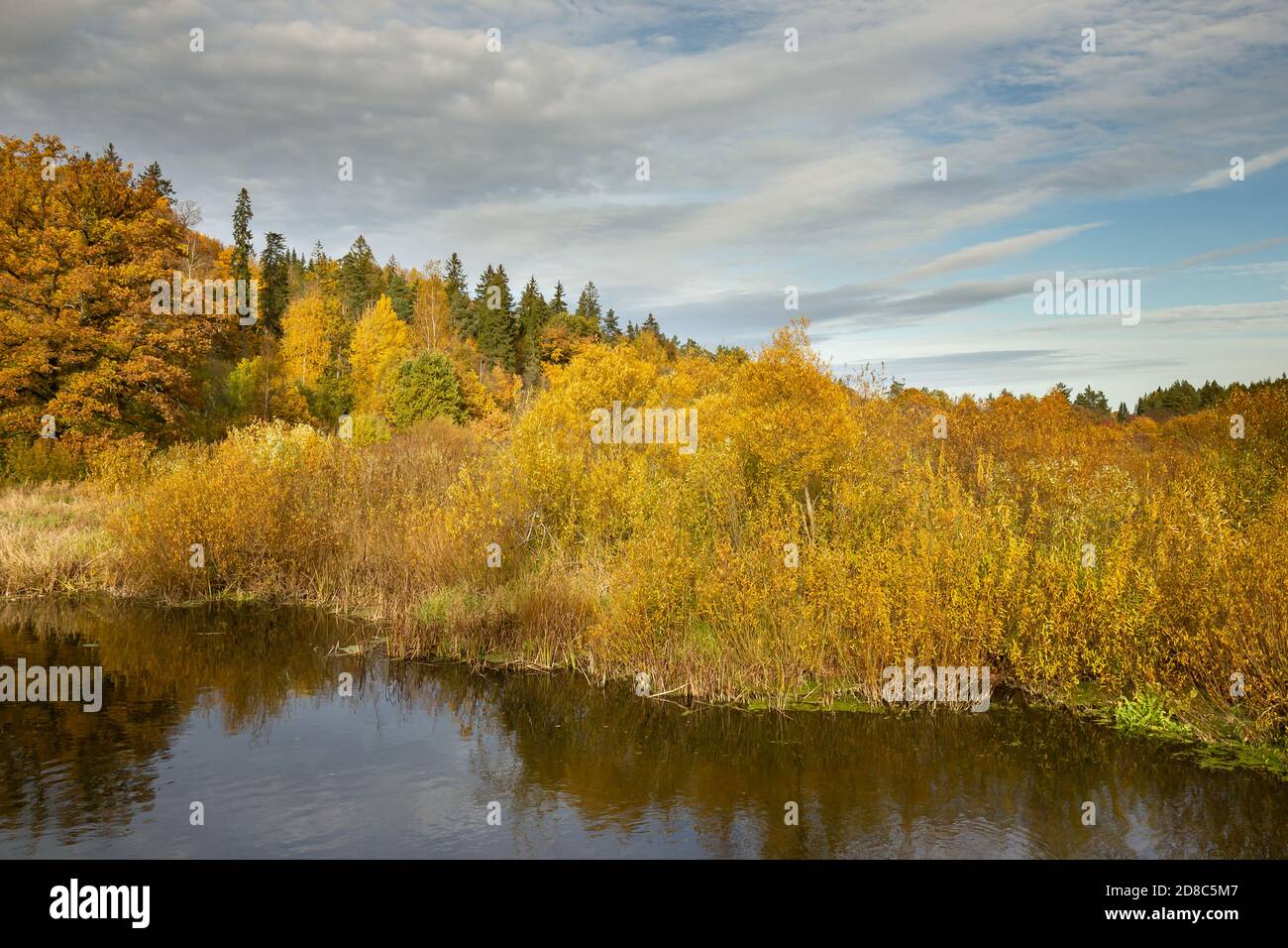 Colorful autumn colors, river Abava in fall season Stock Photo - Alamy