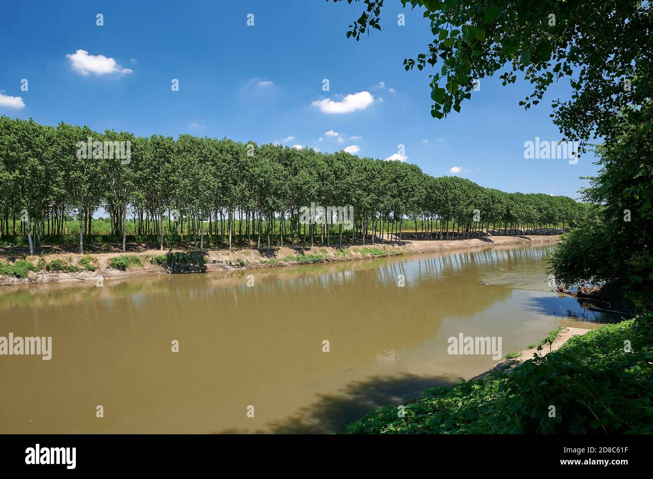 Lambrinia (Pv), Italy, the river Lambro Stock Photo - Alamy