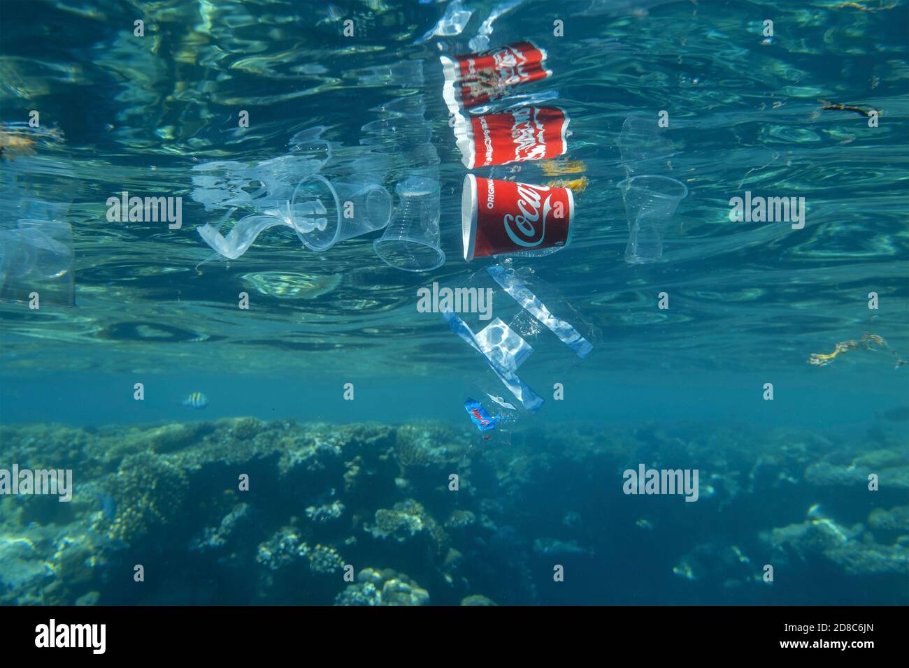 Plastic and other debris floats underwater near coral reef. Plastic ...