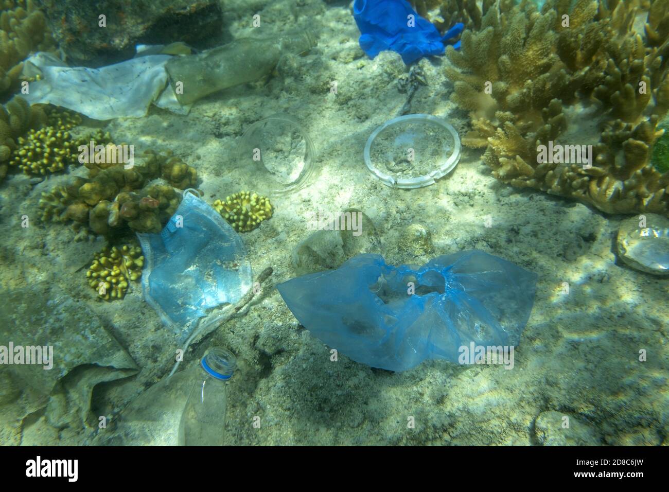 Face masks and plastic debris on bottom in Red Sea. Coronavirus COVID ...