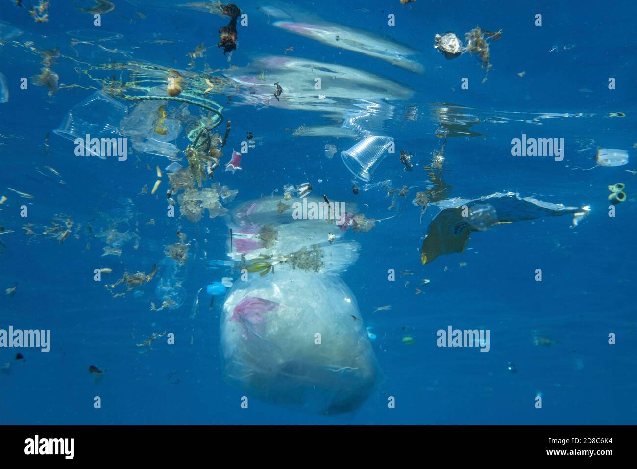 Underwater garbage hi-res stock photography and images - Alamy