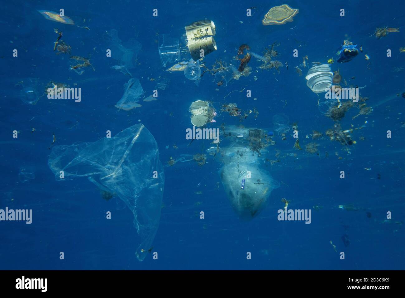 Garbage sea underwater hi-res stock photography and images - Alamy