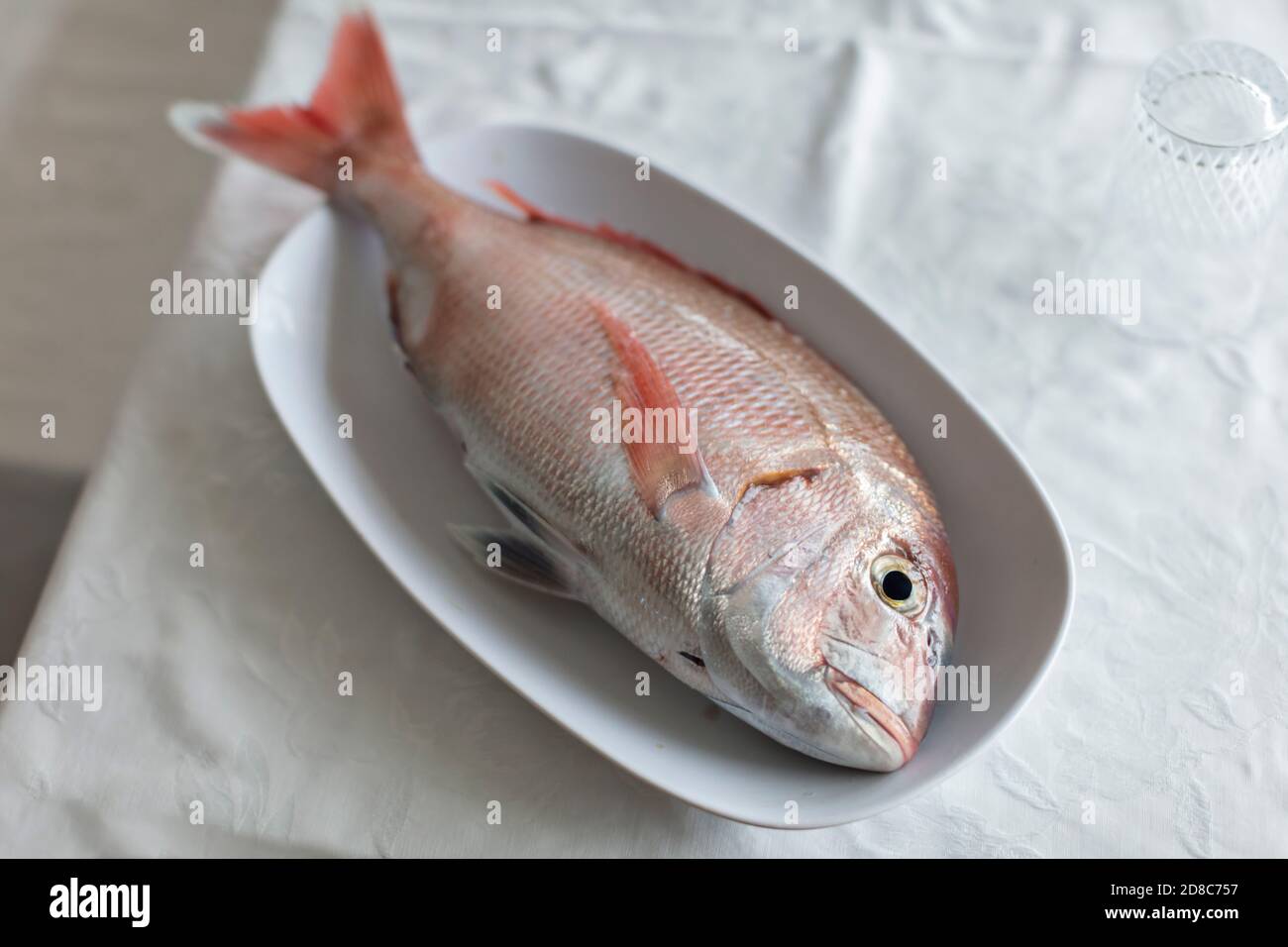 Sea bream japan eating hi-res stock photography and images - Alamy