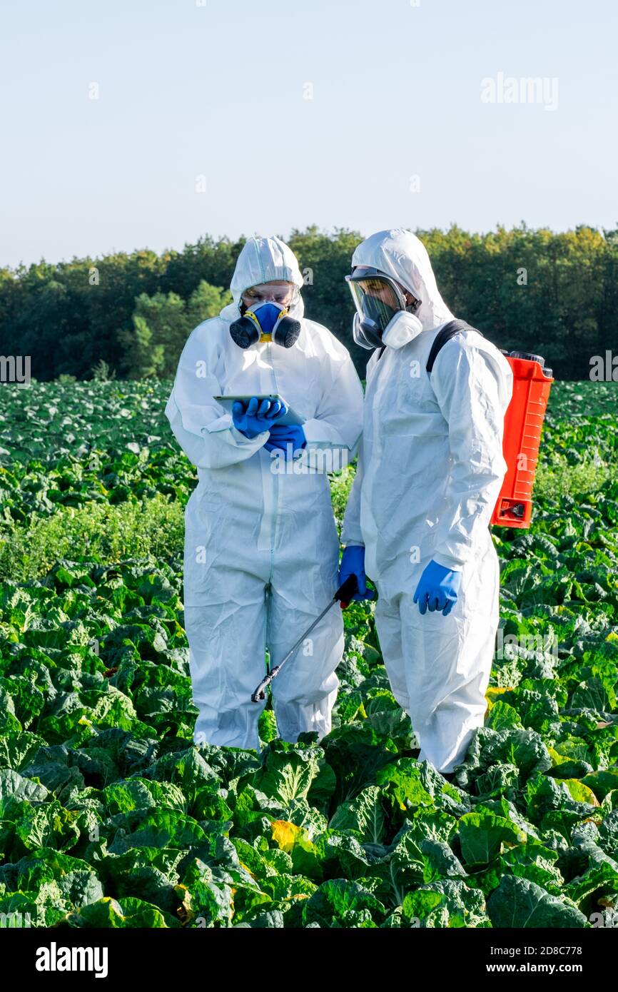 Scientist and Agronomist wearing a white protective equipment, chemical ...