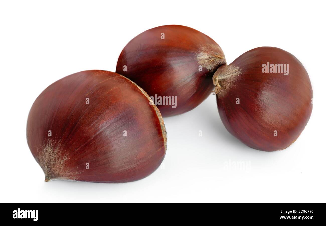 Chestnuts isolated on white background. Chestnut for Christmas close up ...