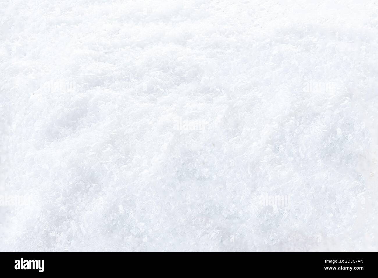Winter bright background with white pure snow. Fresh snow texture close ...
