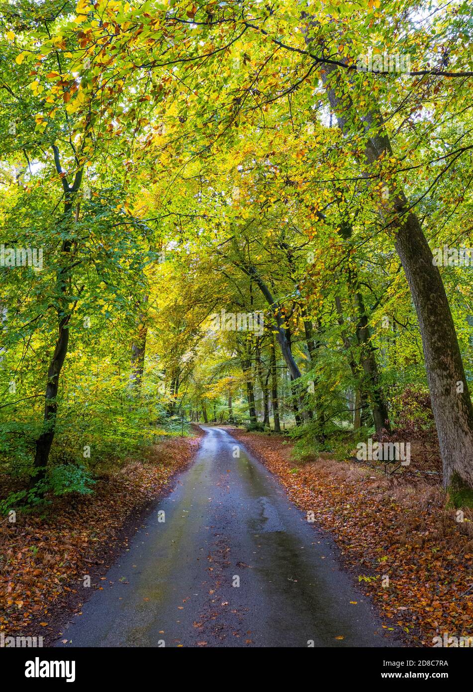 The Chilterns, Woodland Road, Marks Corner, Checkendon, Oxfordshire ...