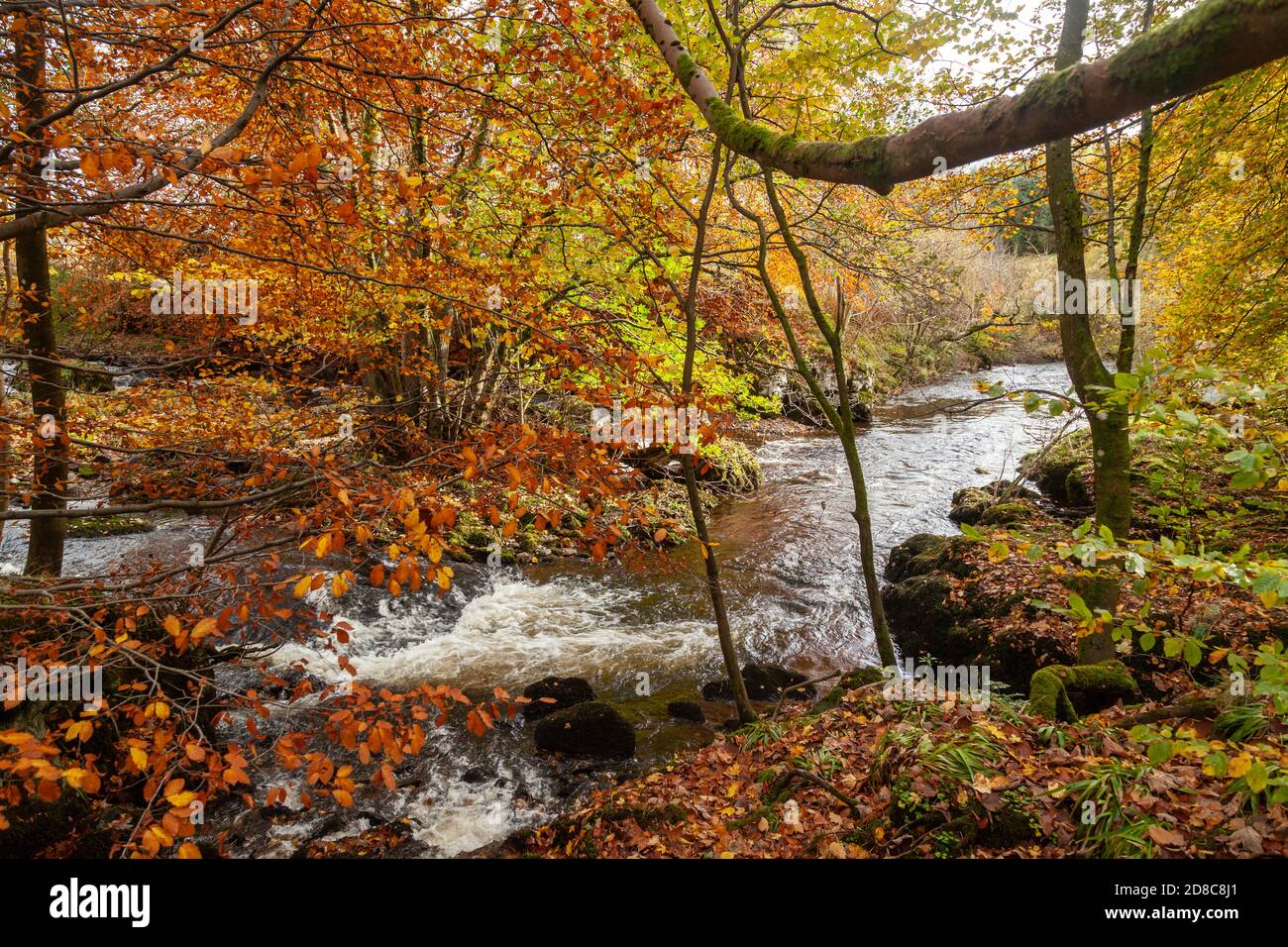 River Devon waterfalls at Rumbling Bridge Perth and Kinross, Scotland ...