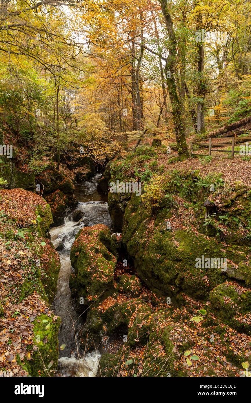 River Devon waterfalls at Rumbling Bridge Perth and Kinross, Scotland ...
