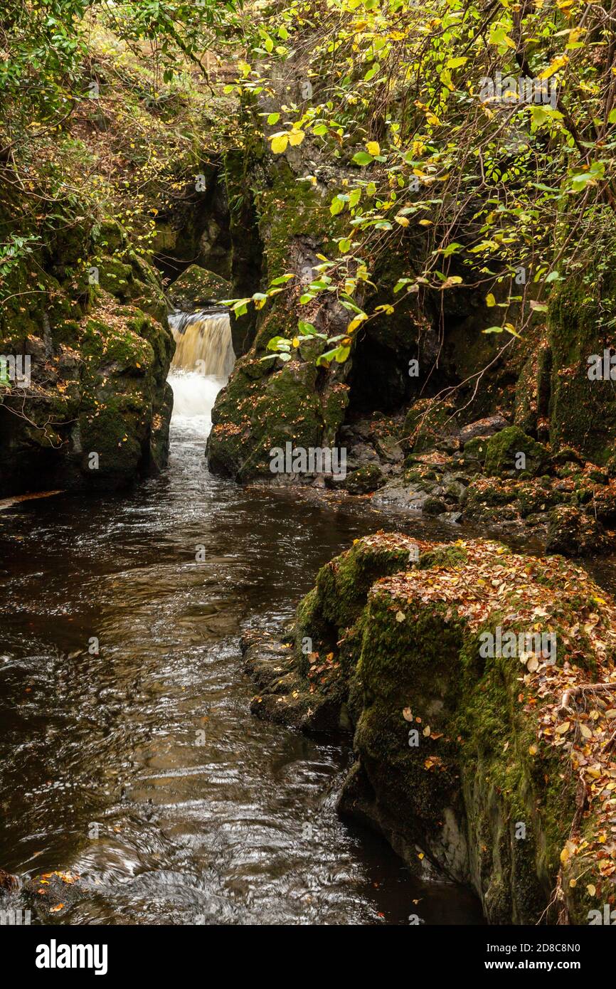 River Devon waterfalls at Rumbling Bridge Perth and Kinross, Scotland ...