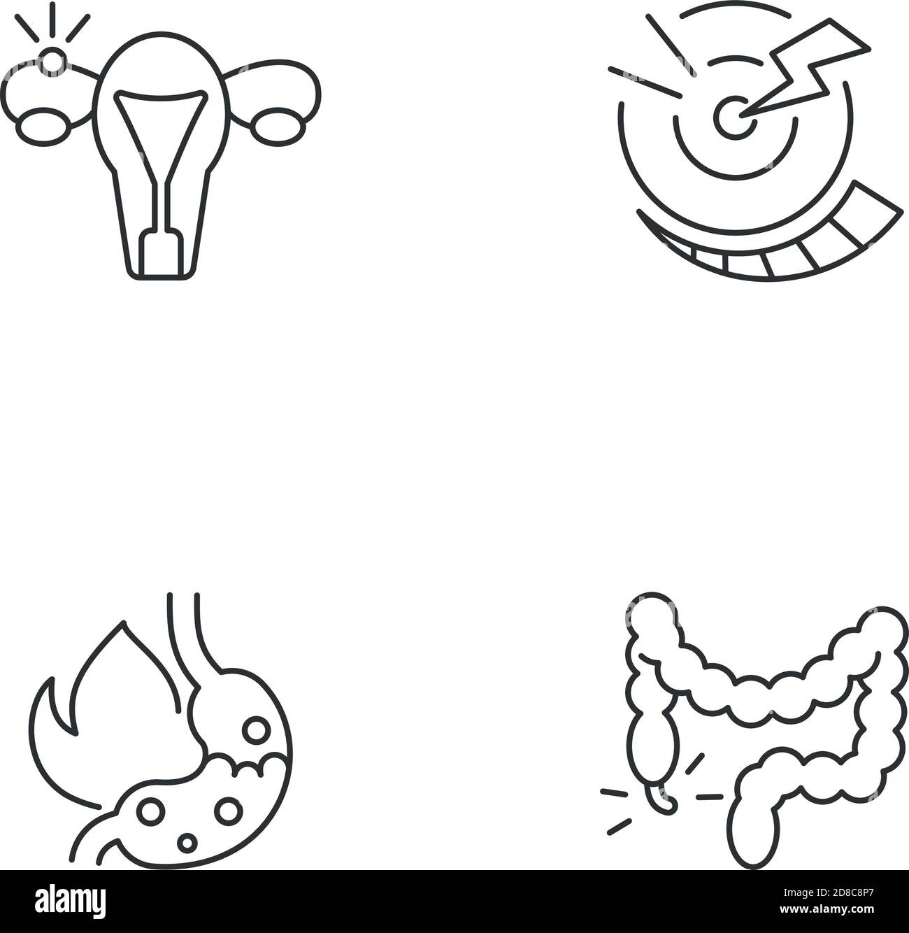Female abdominal anatomy Stock Vector Images - Alamy