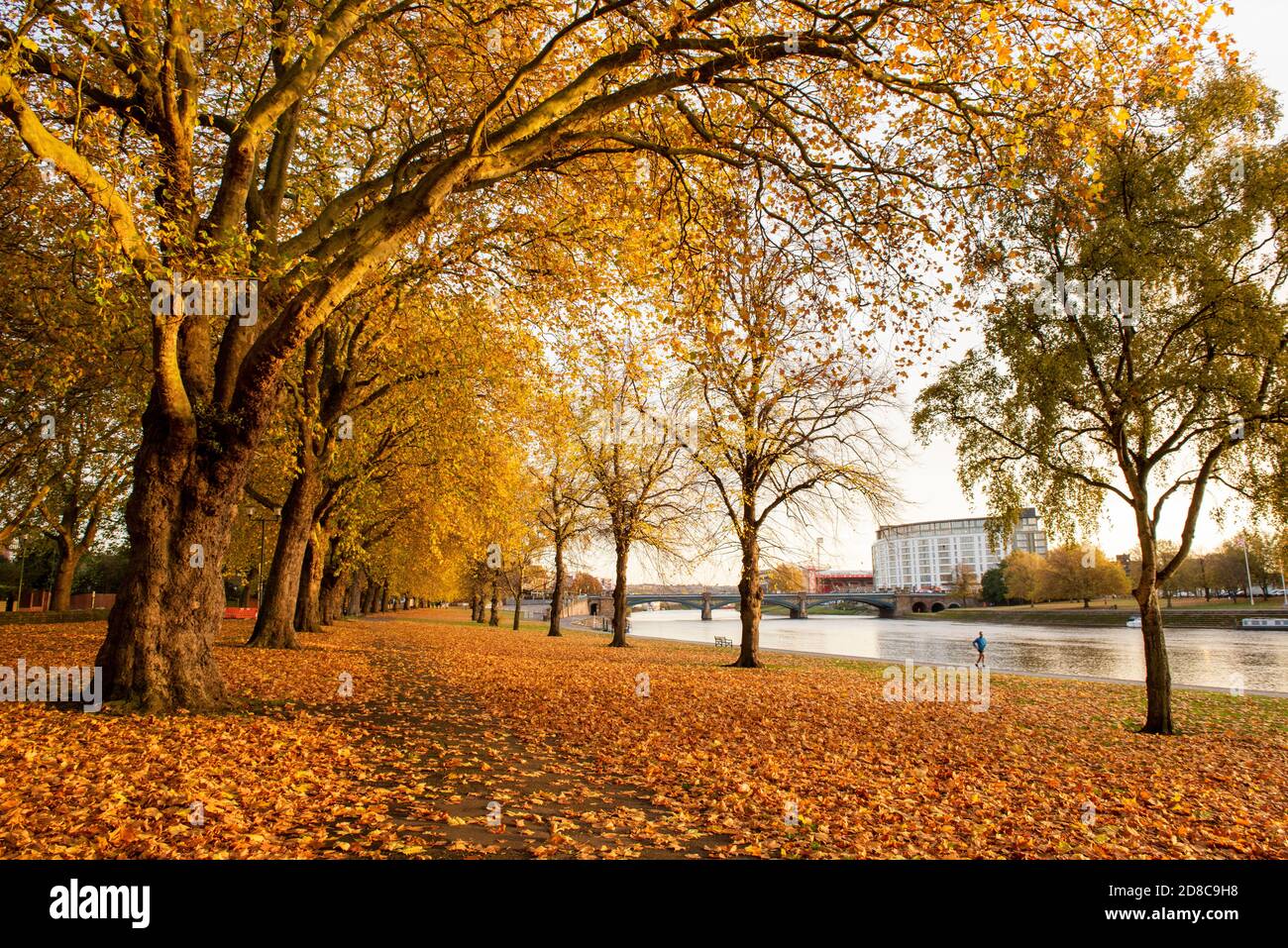 Autumn morning at Victoria Embankment in Nottingham, Nottinghamshire ...
