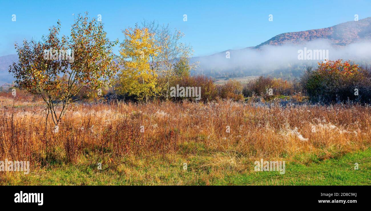 rural landscape on a foggy sunrise. beautiful countryside scenery in ...
