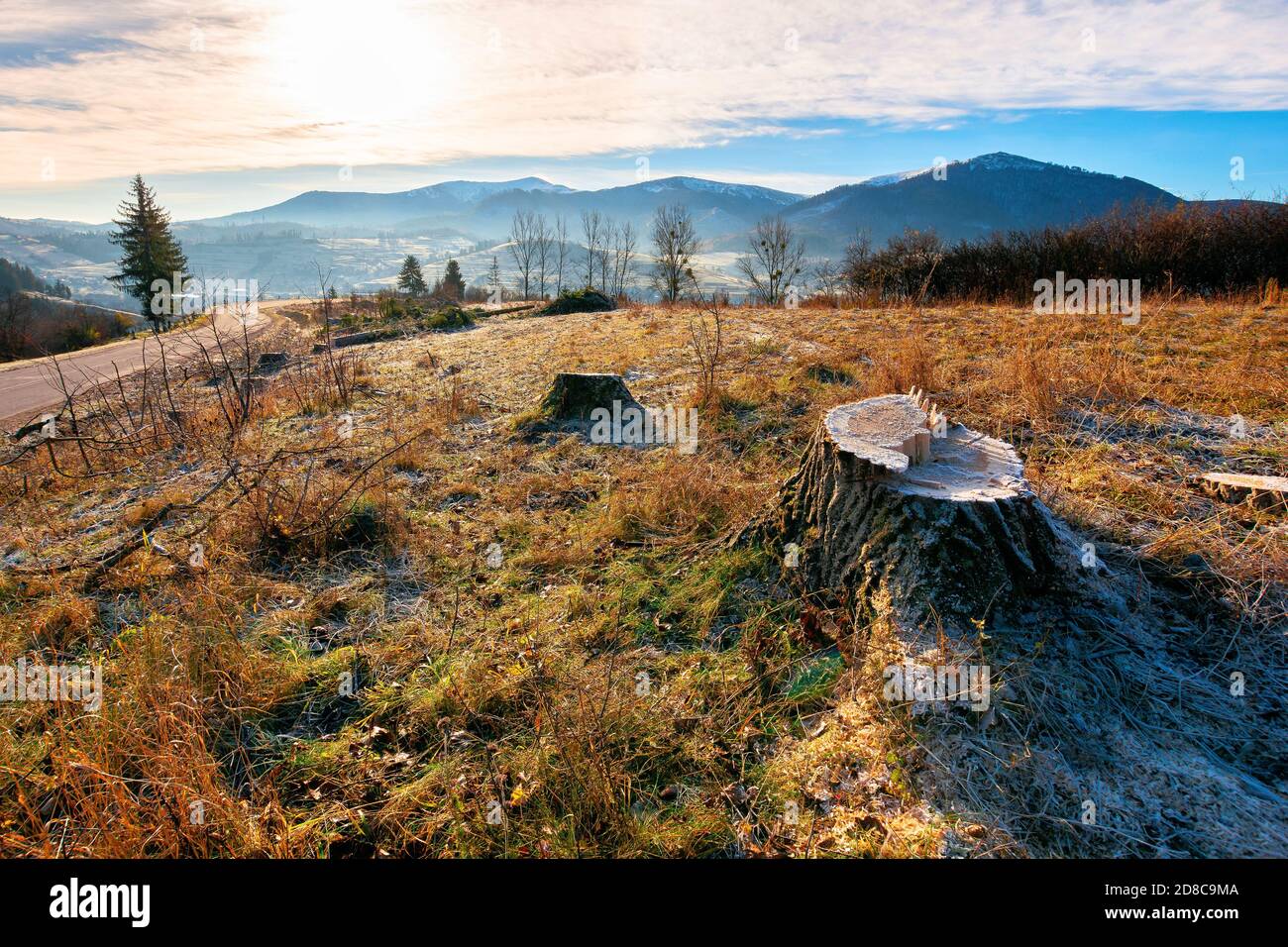 Stump mountain hi-res stock photography and images - Alamy