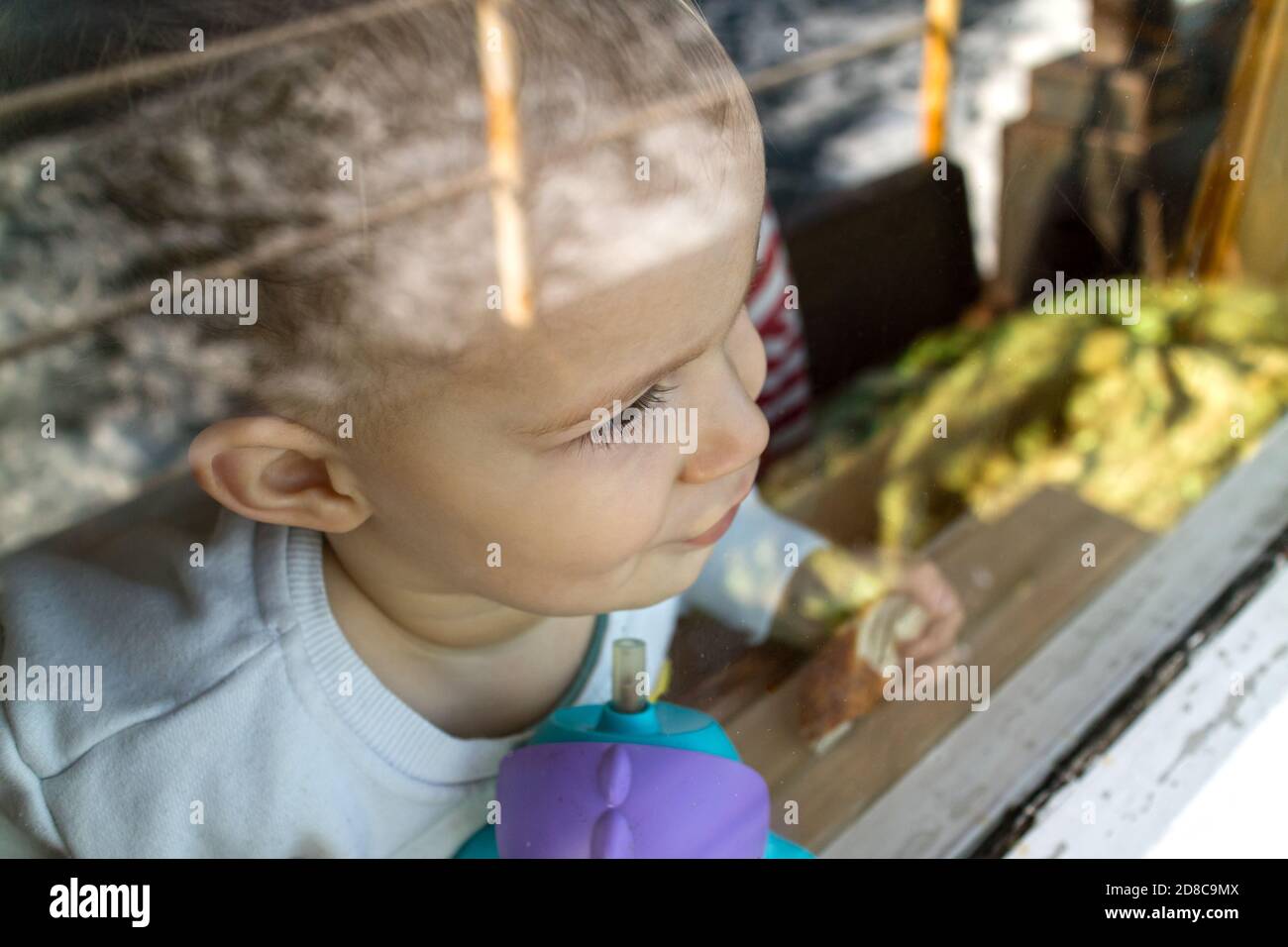 Cute Toddler Staring Out the Ferry Window Stock Photo - Alamy