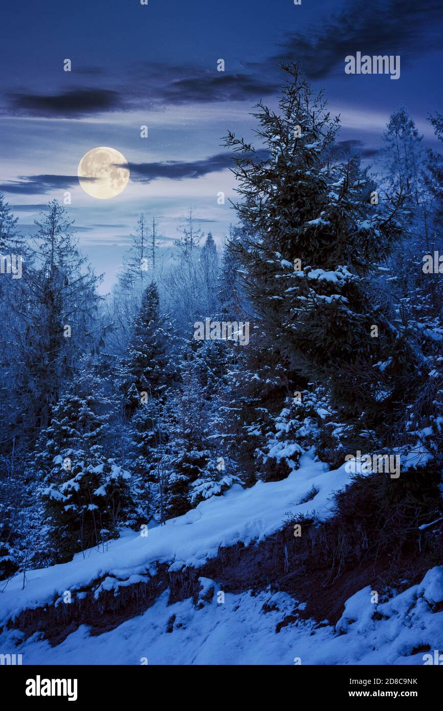 Beautiful Nature Winter At Night