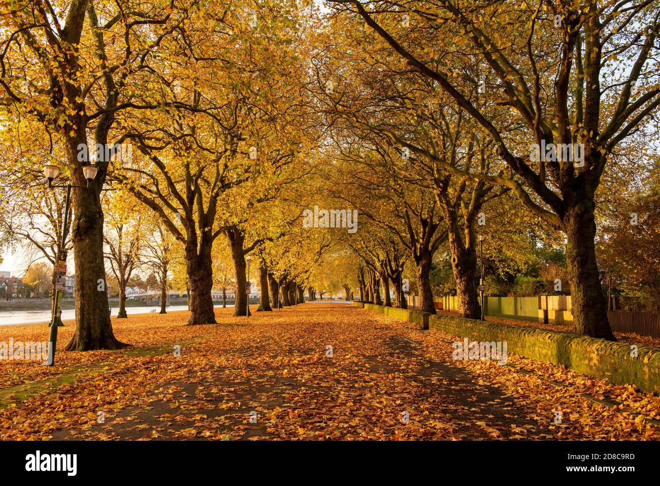 Autumn morning at Victoria Embankment in Nottingham, Nottinghamshire ...