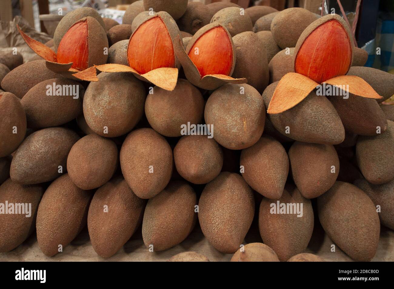 Sapodillas fruit hi-res stock photography and images - Alamy