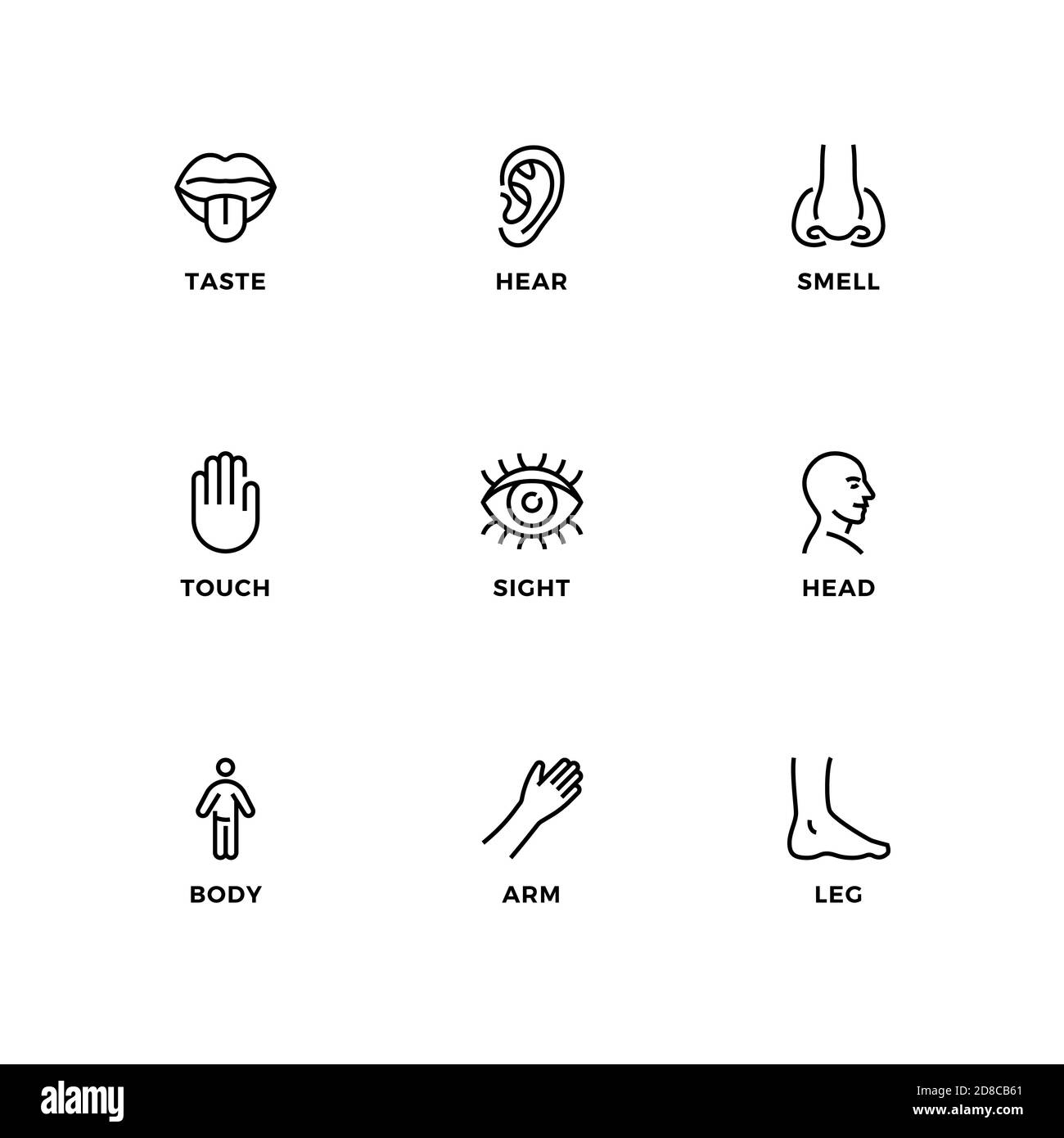 Five senses Black and White Stock Photos & Images - Alamy