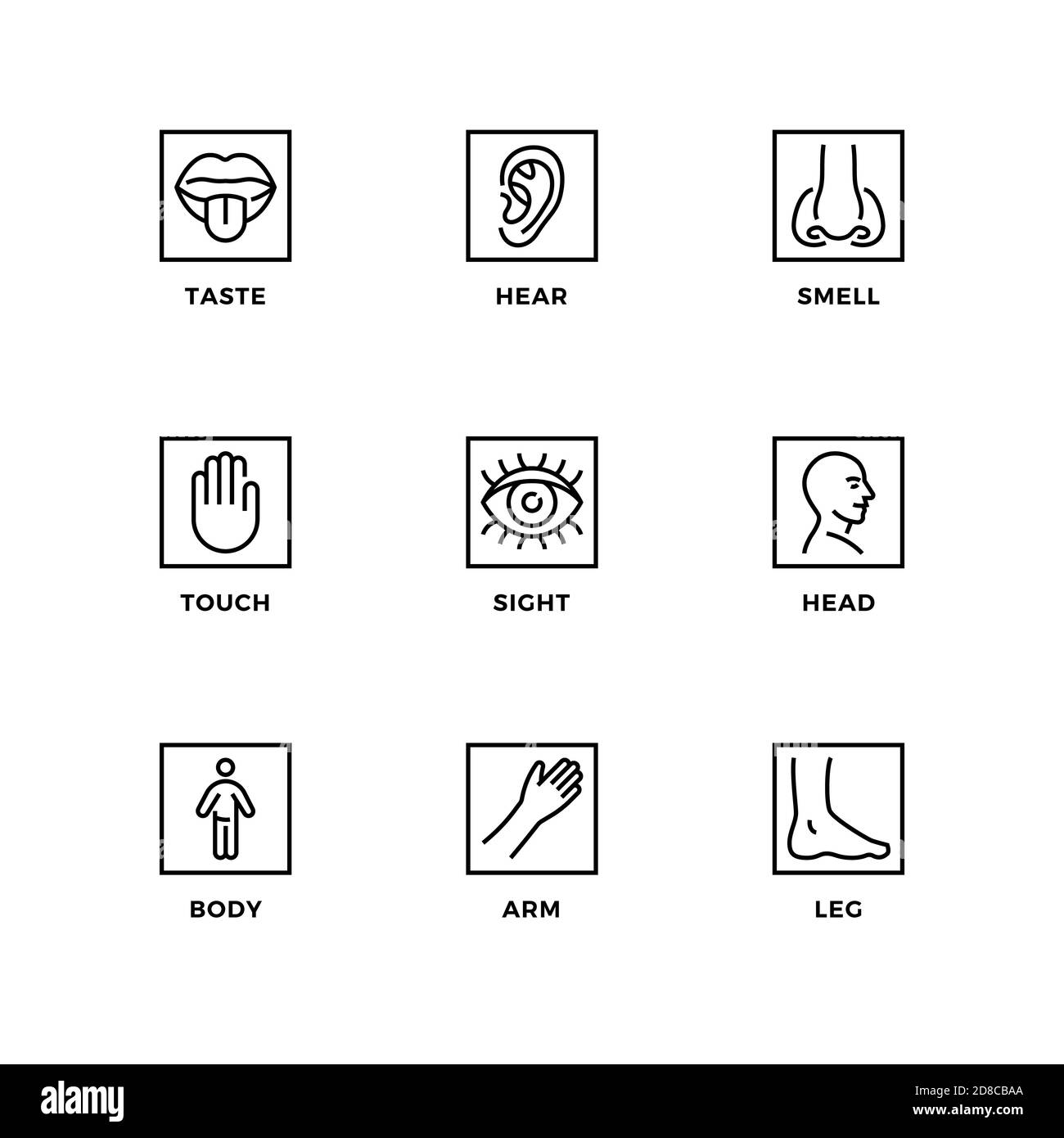 Vector set of design elements, logo design template, icons and badges ...