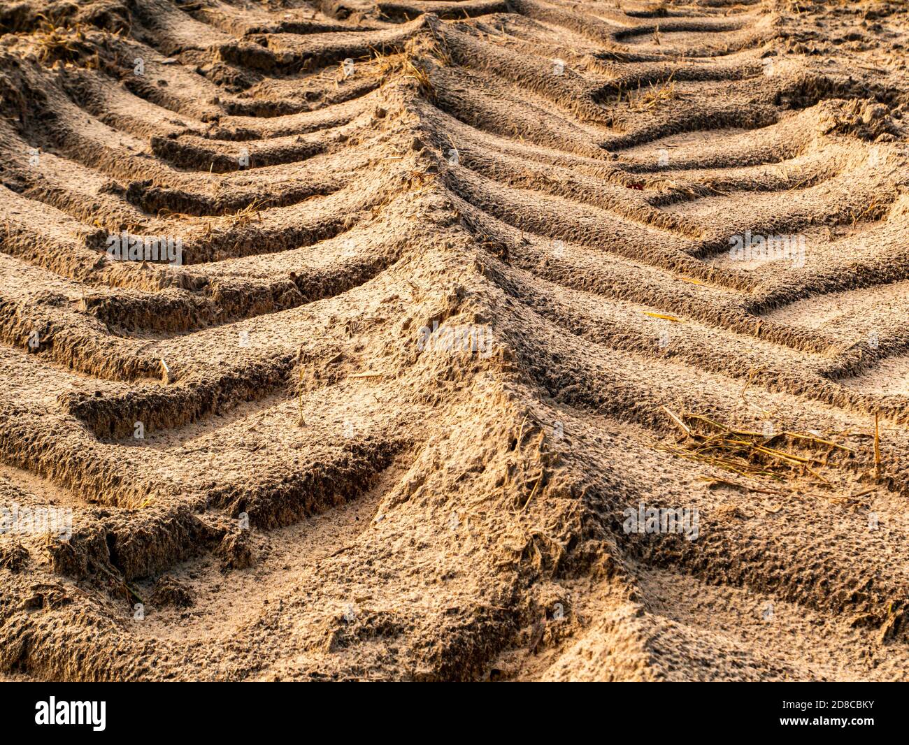 Large truck transport wheel tire tread marks on the ground Stock Photo ...