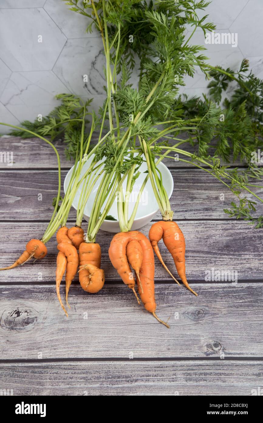 Deformed carrot hi-res stock photography and images - Alamy