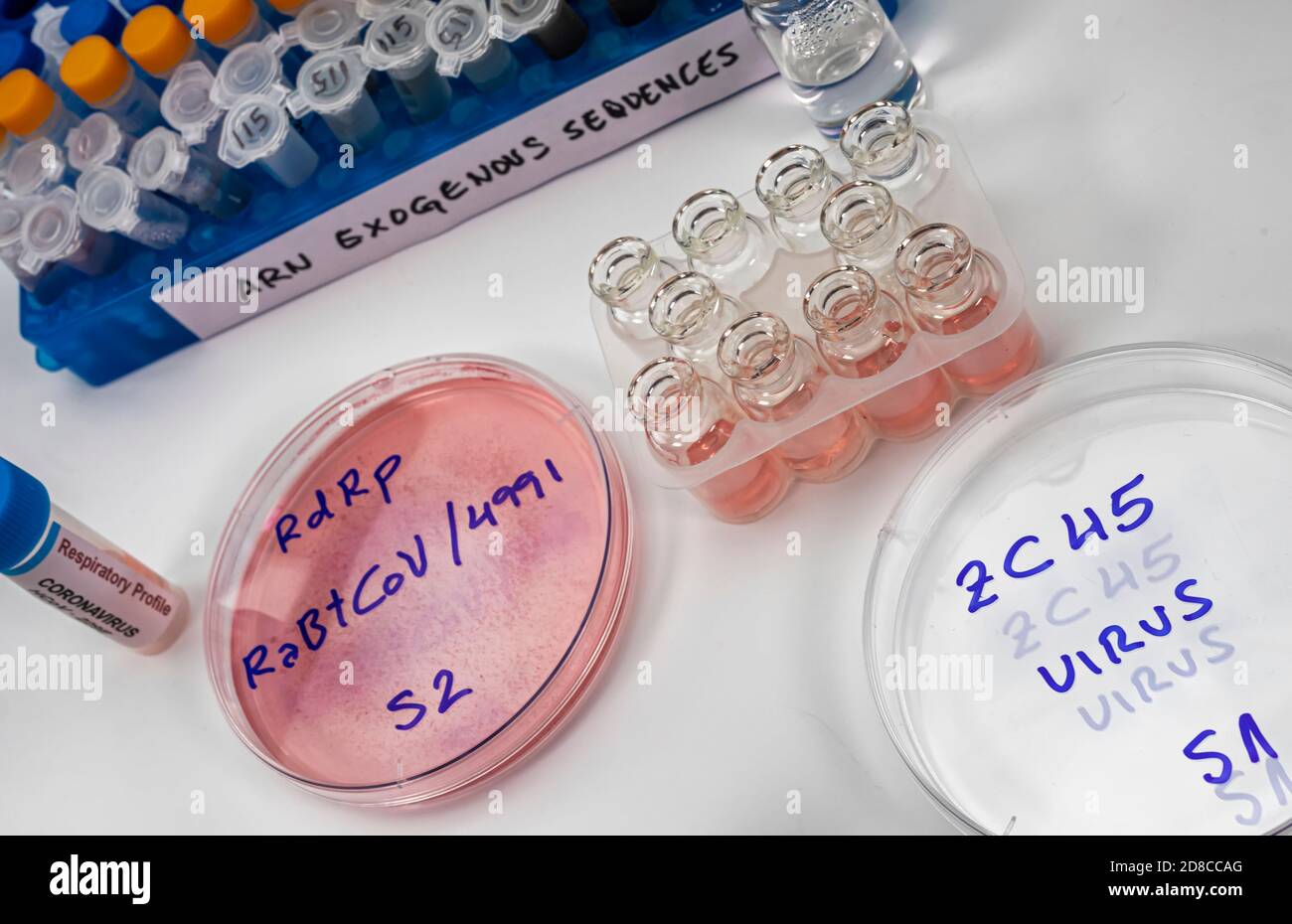 Exogenous RNA sequence study vials on Sars-CoV-2 virus in the ...