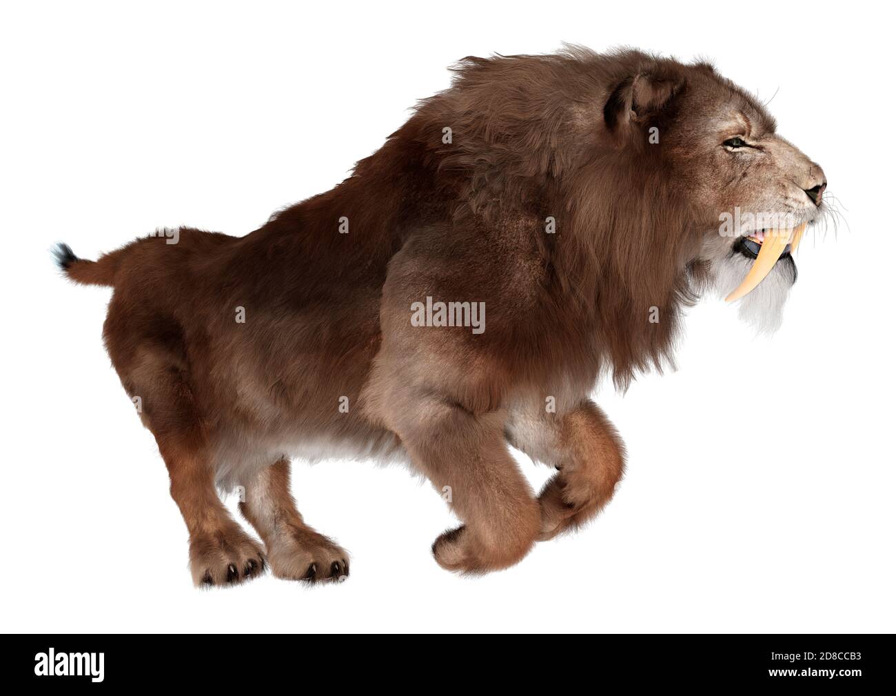 3D rendering of a sabertooth tiger isolated on white background Stock ...