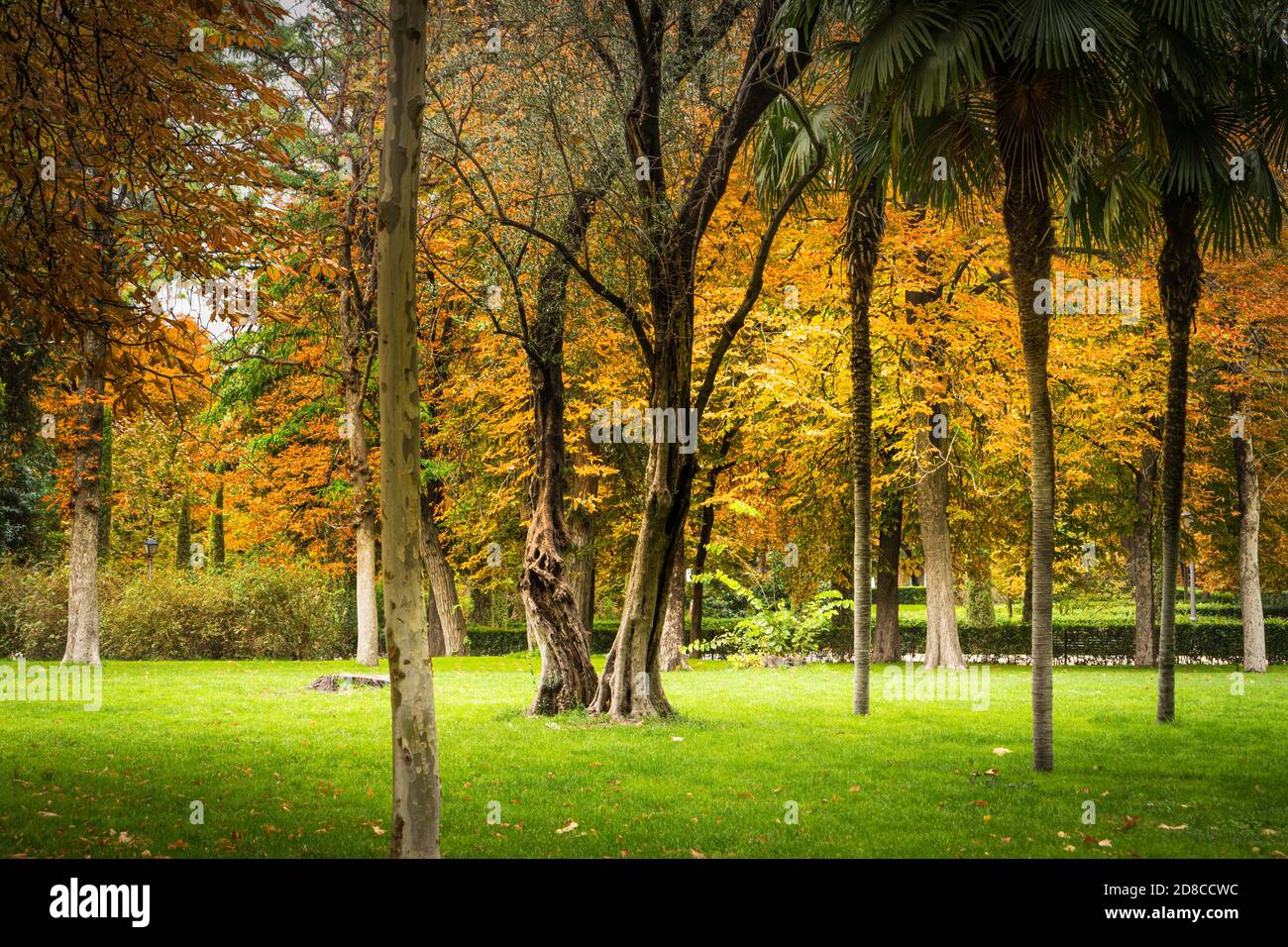 Autumn landscape of El Retiro Park, the oldest in the city of Madrid ...