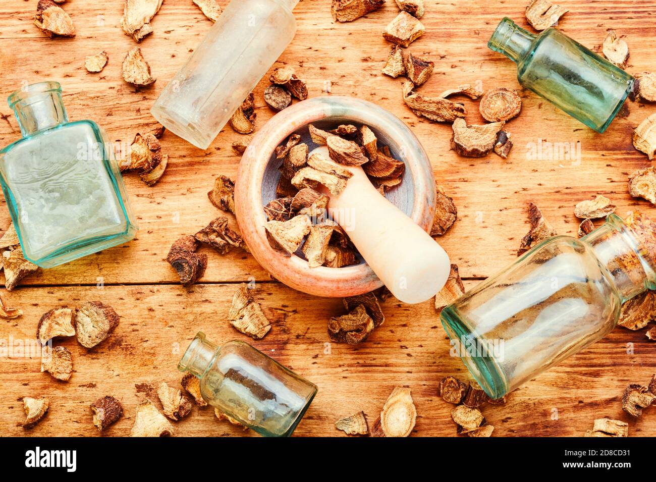 Medicinal root of elecampane in herbal medicine.Inula helenium.Medical ...